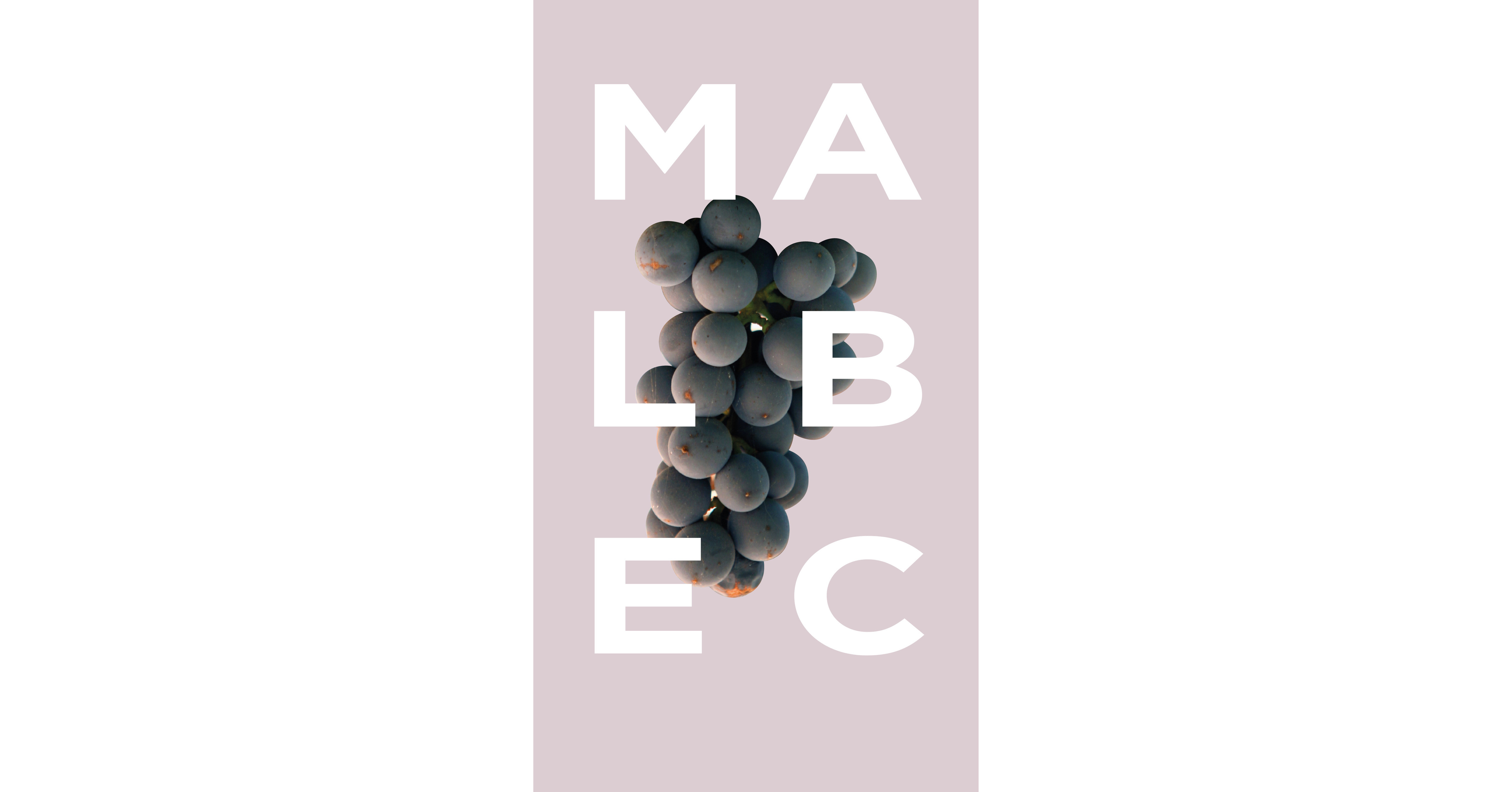 MALBEC WORLD DAY 10th Year, an homage to the star variety of Argentina ...