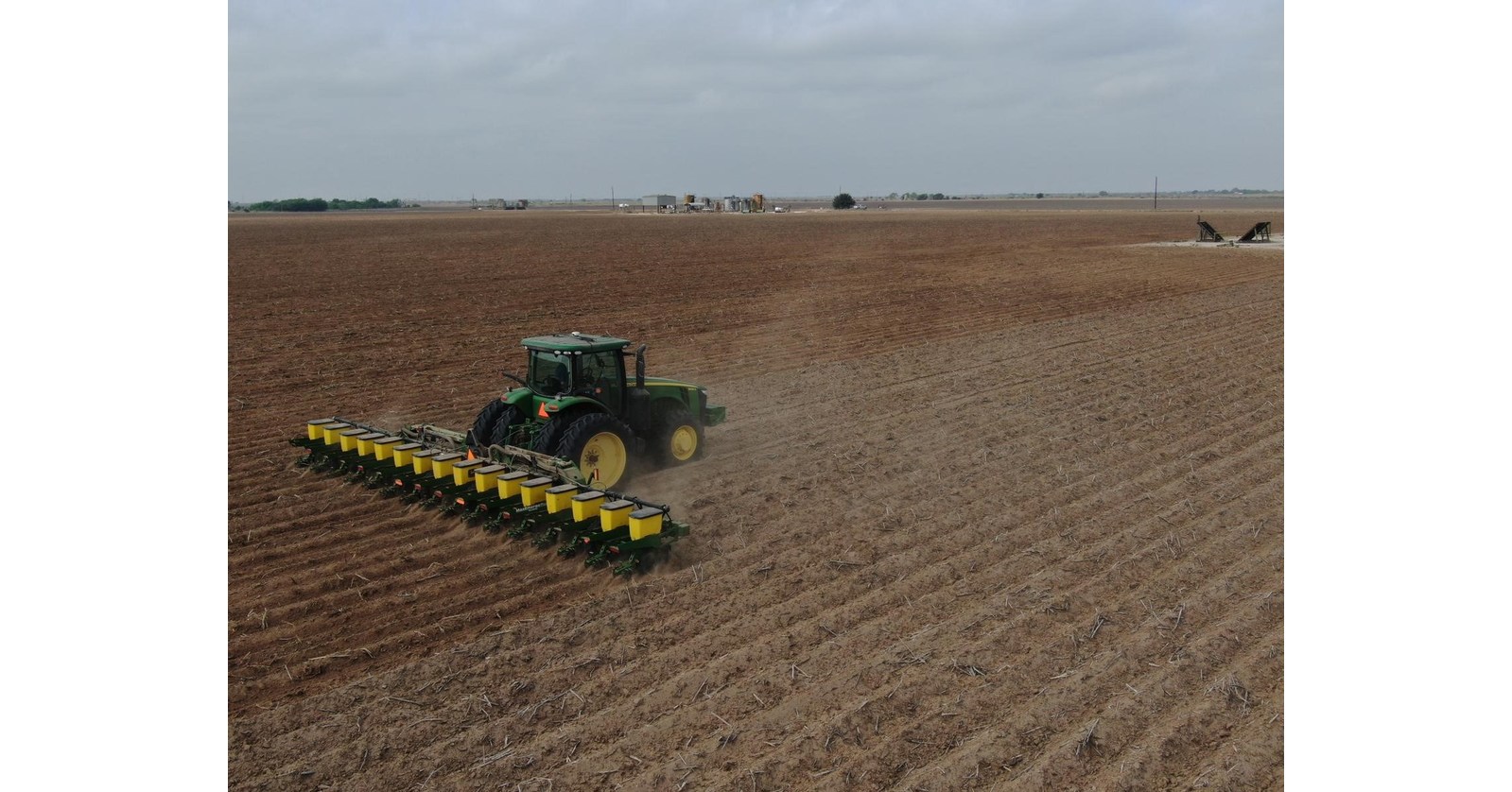 Equinom's Novel Cultivation Methods Transform Global Sesame Space ...