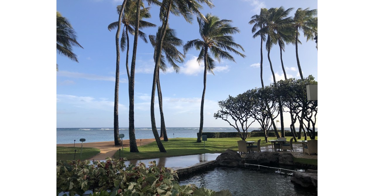 Jeffrey Stone Hawaii