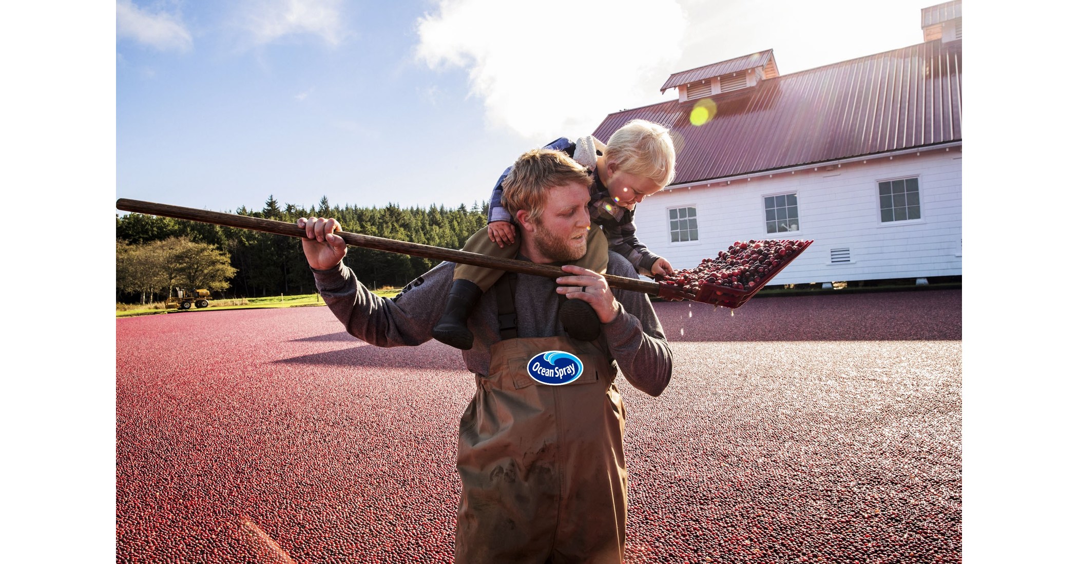 100% of Ocean Spray's Cranberries Verified as Sustainably Grown Using ...