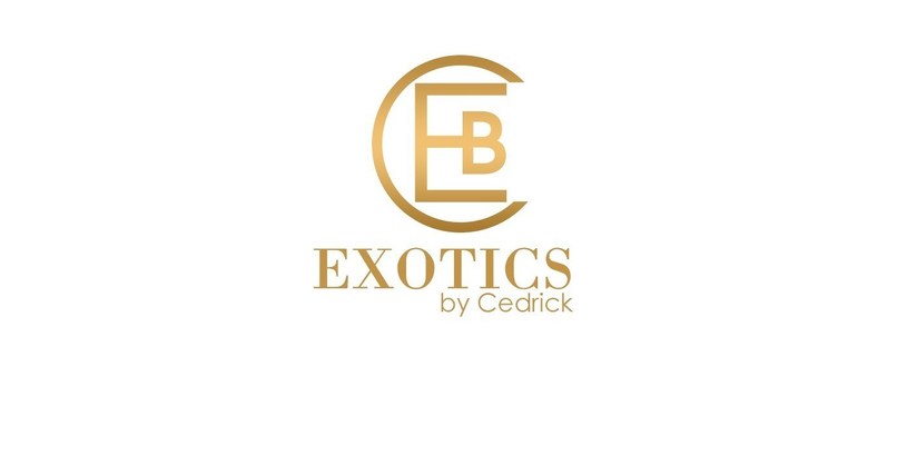 Exotics by Cedrick Releases First Pair of Gender Neutral Shoes