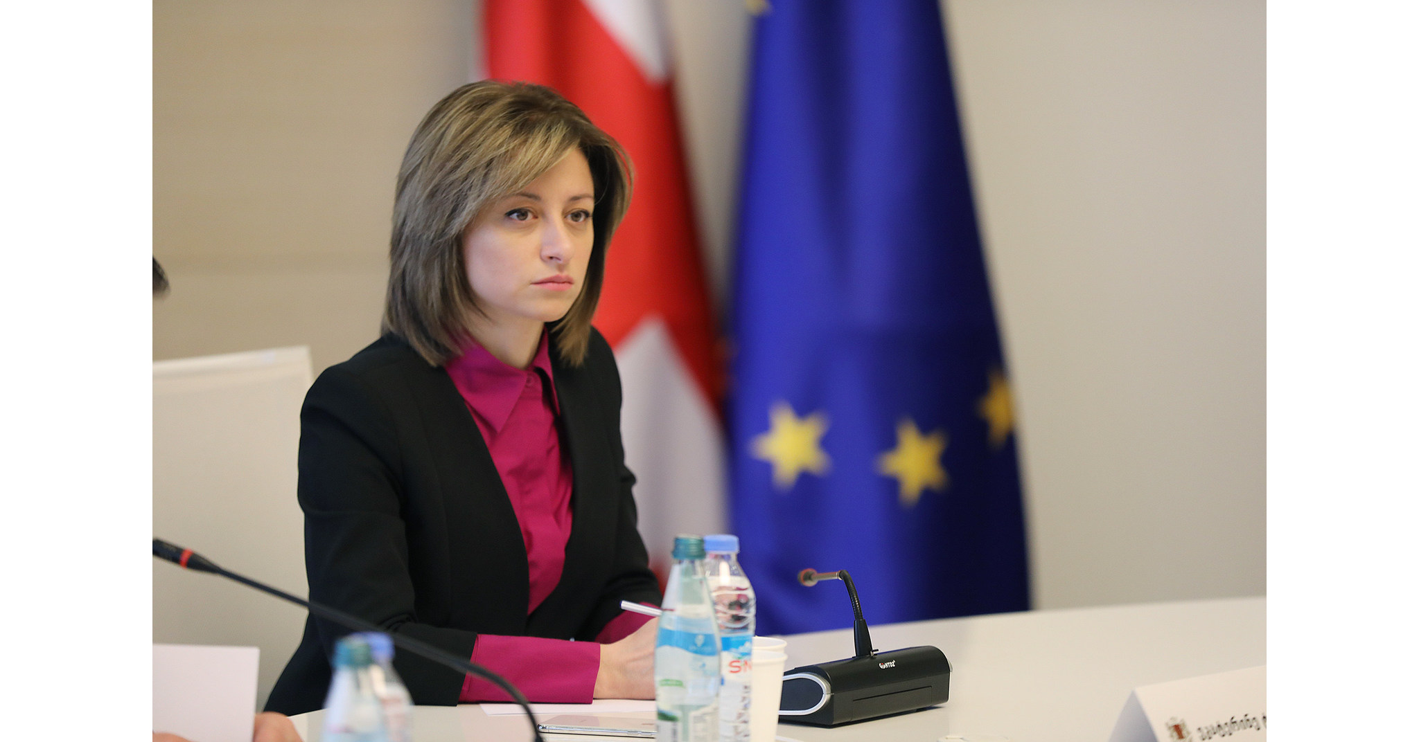 Small Country, Big Effort: How Georgia Became Exemplary in the Fight ...