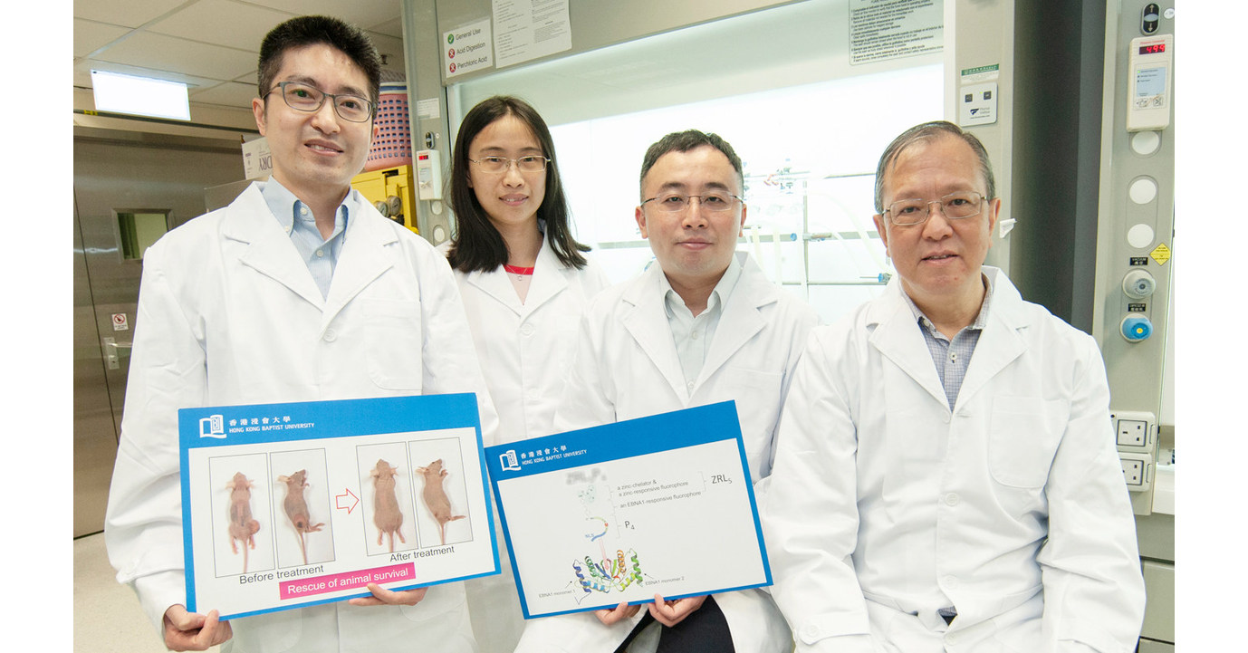 HKBU-led Research Team Develops Novel Anti-viral Targeted Drug for ...