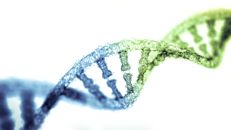 Roche launches new exome and custom KAPA Target Enrichment portfolio ...