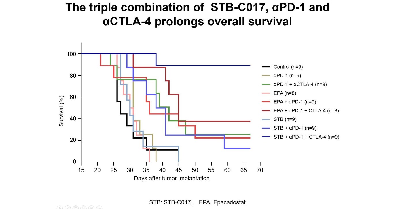 Syntekabio Presents Nonclinical Data of immuno-oncologic agent STB-C017 ...