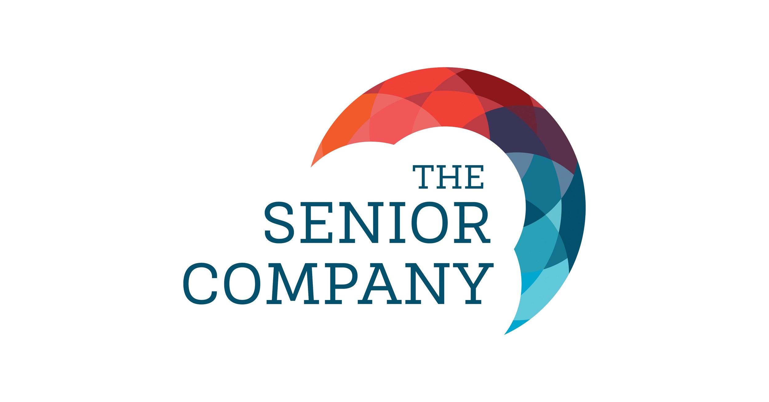 The Senior Company Creates Customized Care Plans for Seniors to Ensure ...