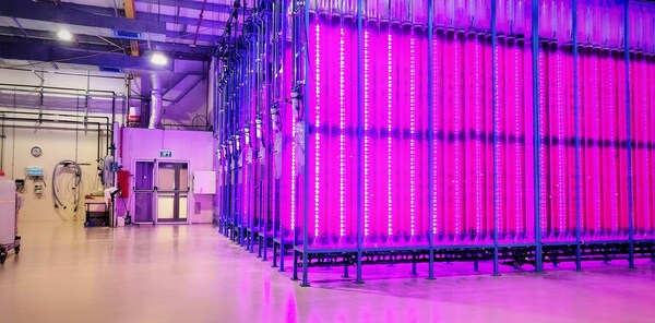 Yemoja Opens Sustainable Microalgae Production Plant