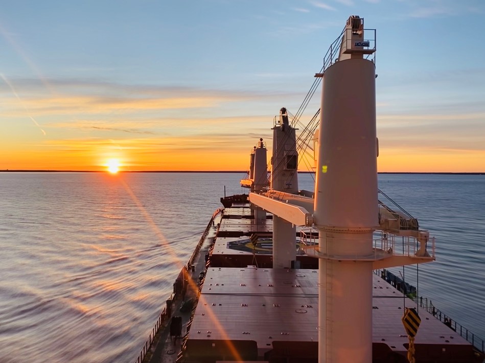 Fednav Limited Restructures Marine Division, Announces New Leadership ...