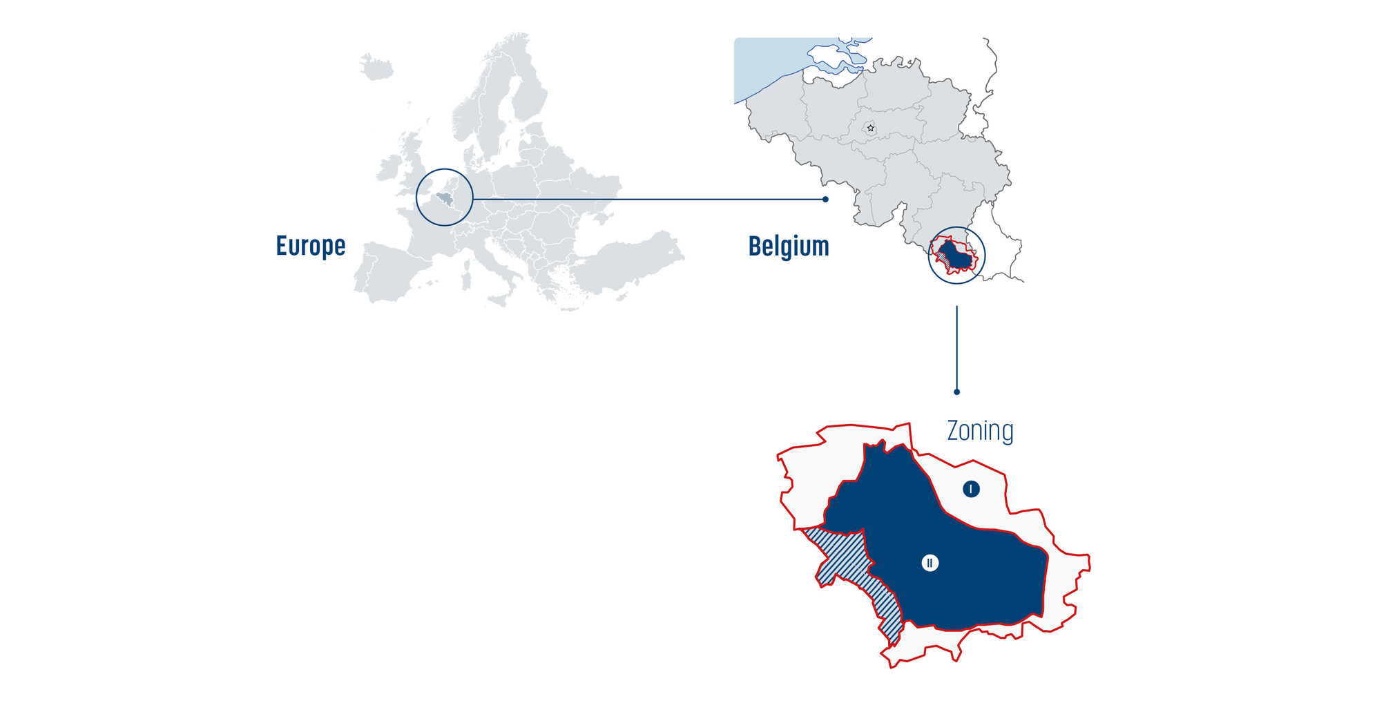 European Commission Ratifies Proposal to Reduce Belgium's ASF-Infected Zone