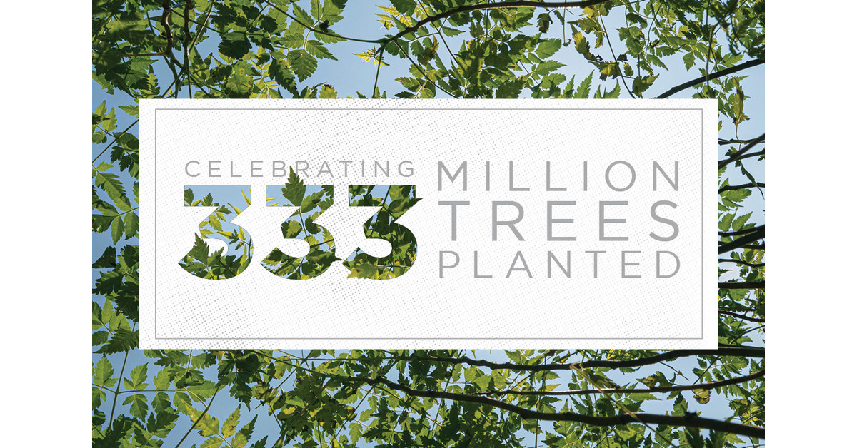 Eden Reforestation Projects Plants a Third of a Billion Trees