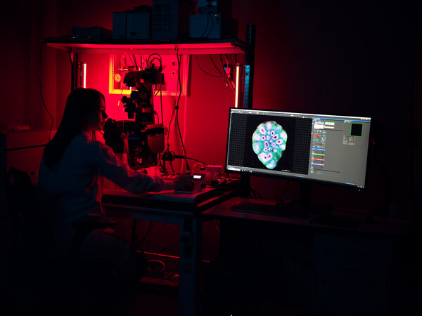 Lunenfeld-Tanenbaum Research Institute receives new matching gift to ...