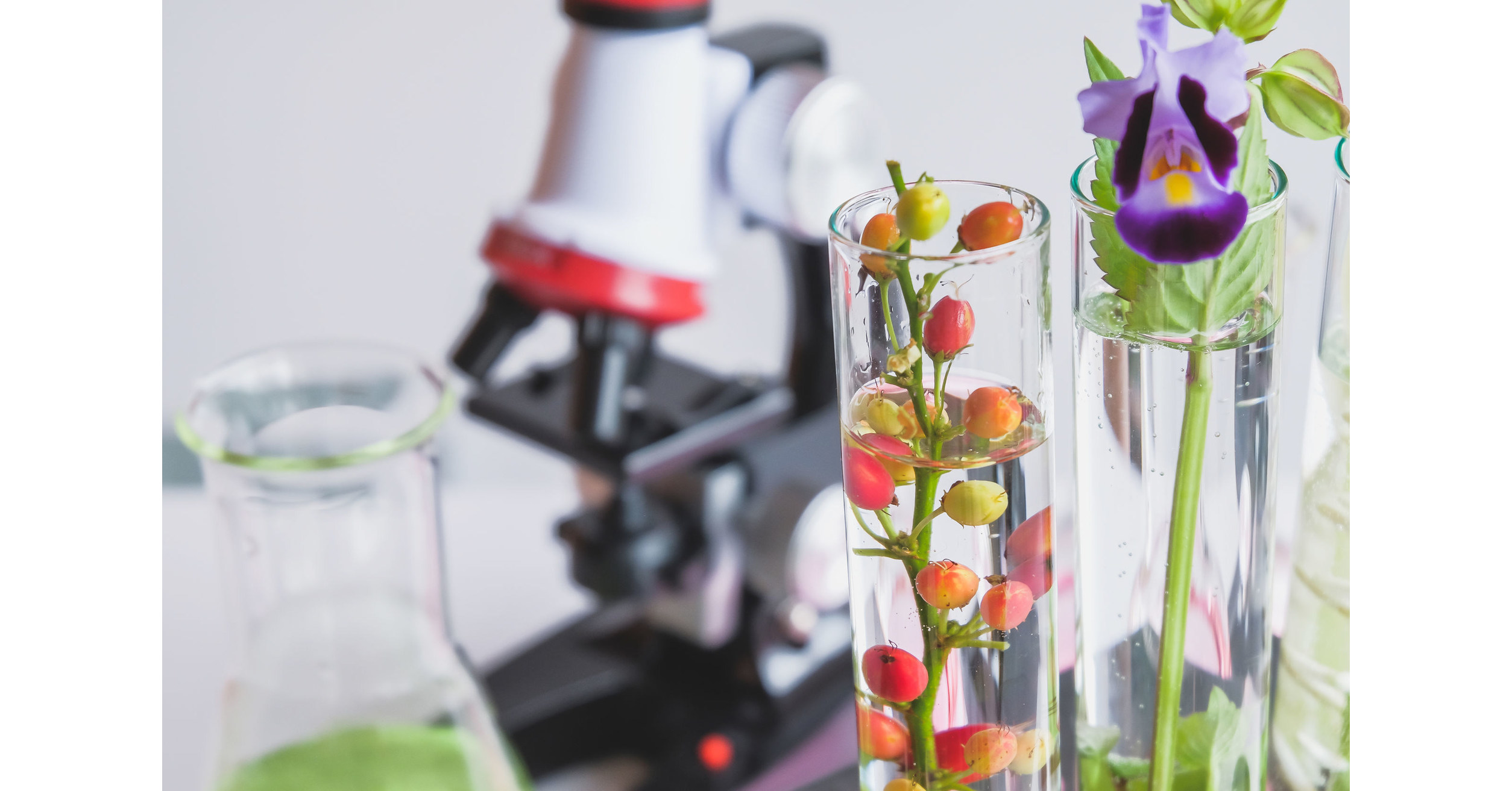 GRDG Sciences and Chemia Corp. Announce 3F Biofragrance Success Against ...