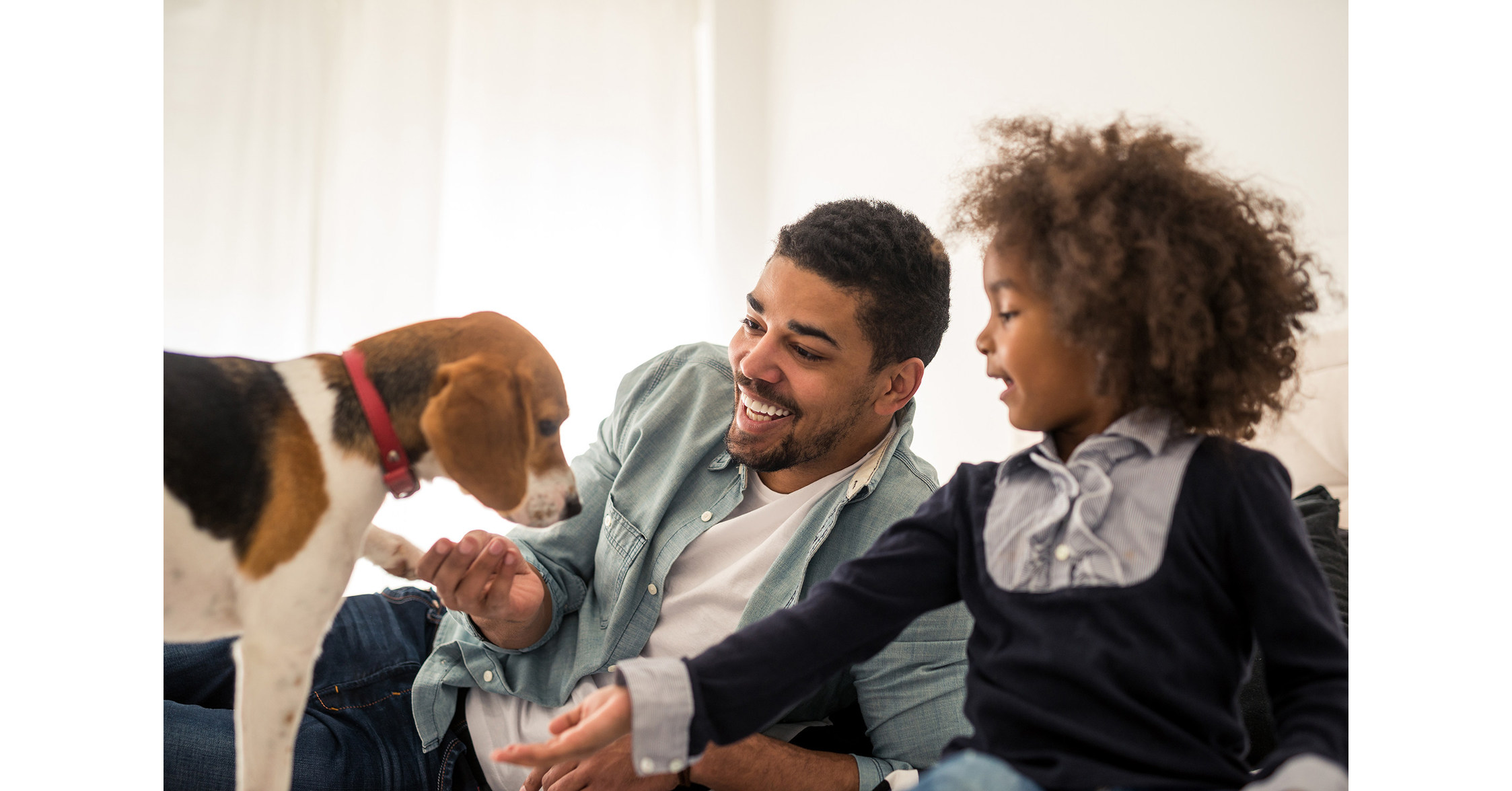 4 Tips for Working from Home with Your Pet