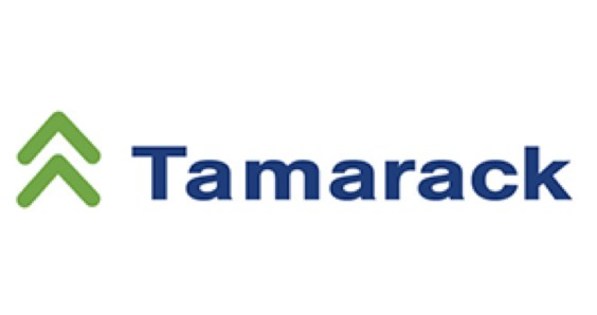 Tamarack Spins-off Salesforce.com Product Division to Northteq