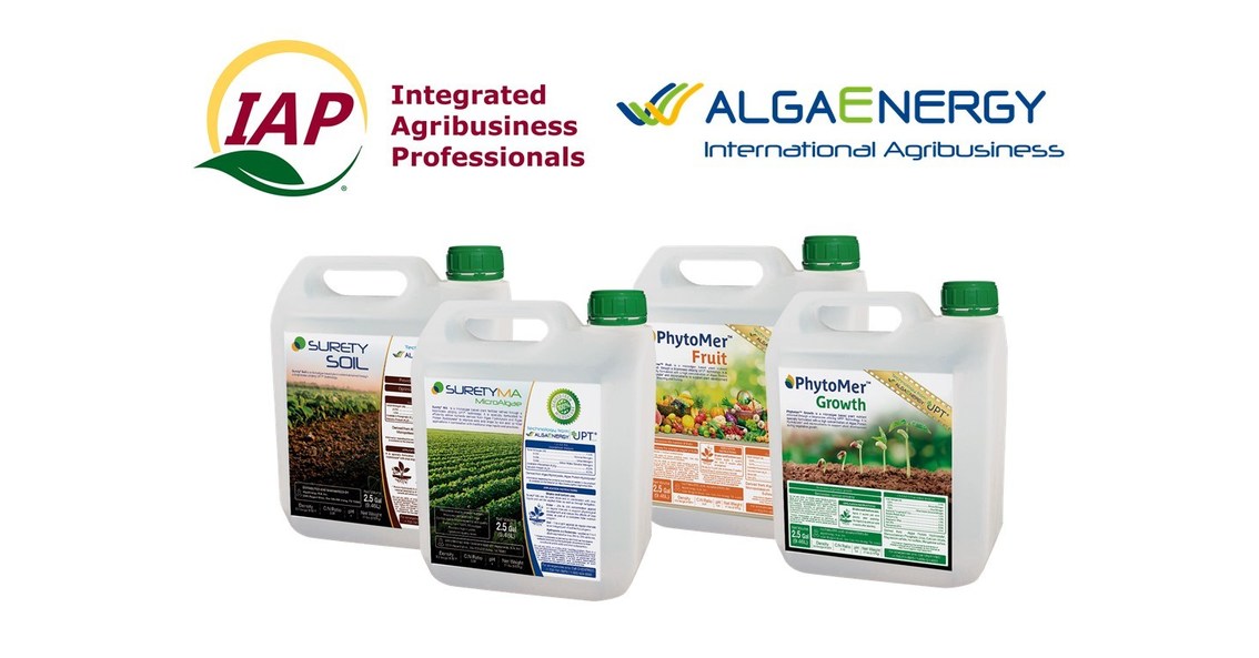 AlgaEnergy and Integrated Agribusiness Professionals (IAP) Seal a ...