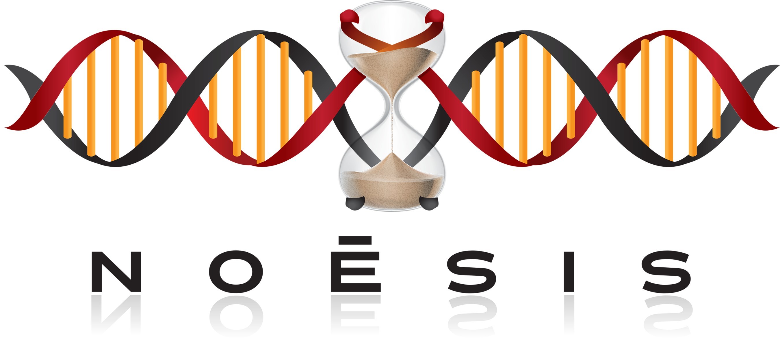 Educational Non-Profit Organization Forms to Assure a Sustainable ...