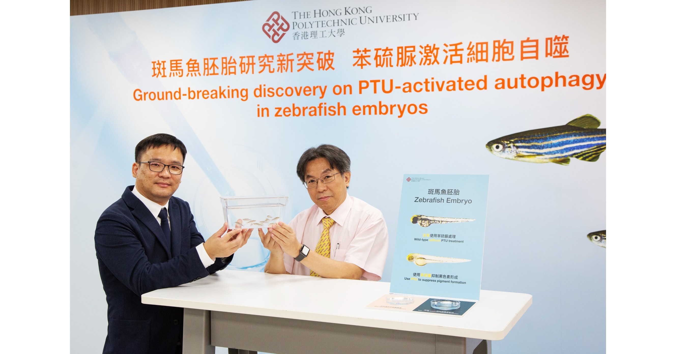PolyU discovers the effect of chemical compound PTU on autophagy in ...