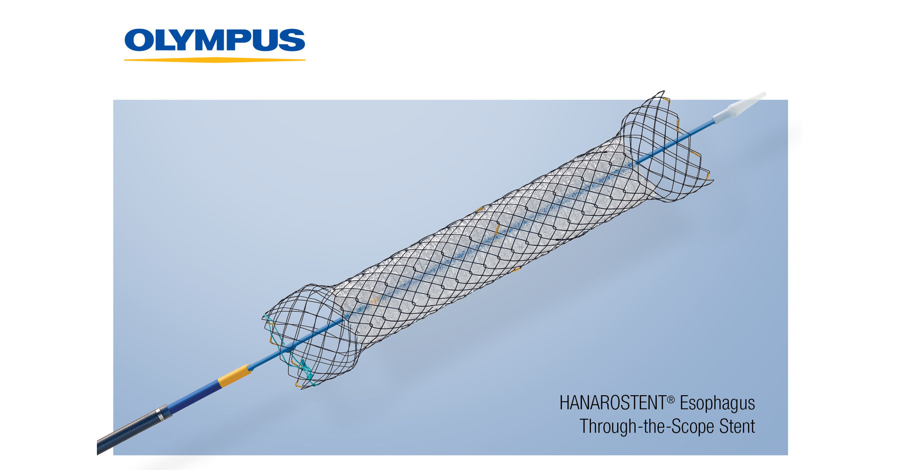 Olympus Adds HANAROSTENT Esophagus Through the Scope Stent to its ...