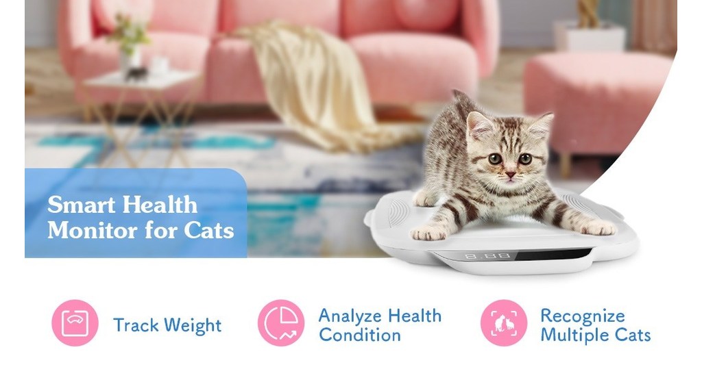 CatLink Announces Launch of WeCare - A Smart 24/7 Health Monitor for Cats