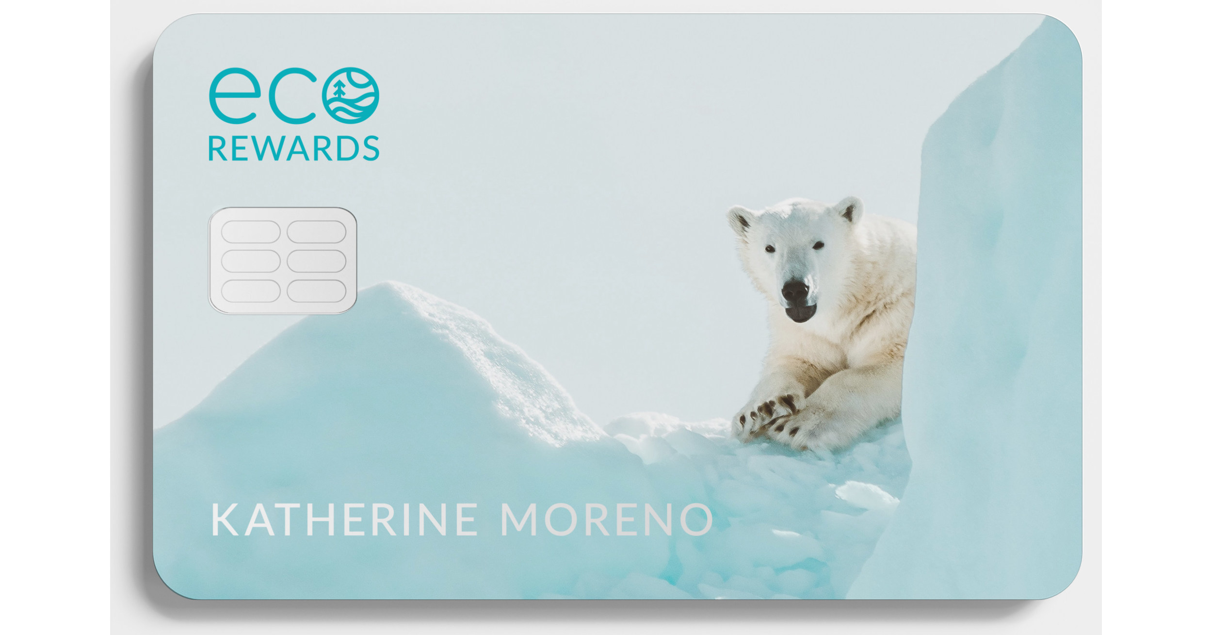 Introducing Eco Rewards: Funding Environmental Charities With Credit ...