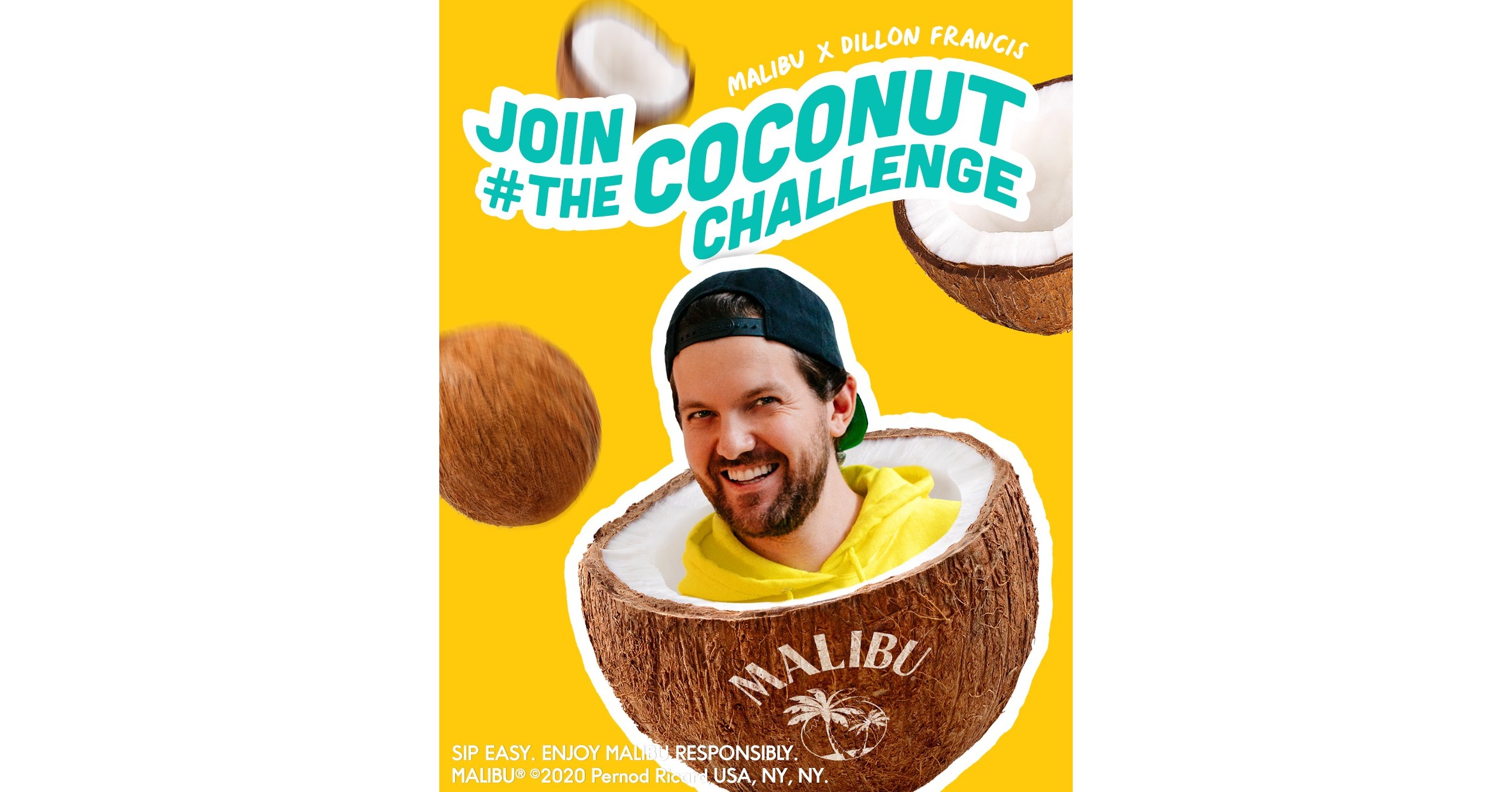 Malibu & DJ Dillon Francis Remix an Internet Sensation into a Summer ...