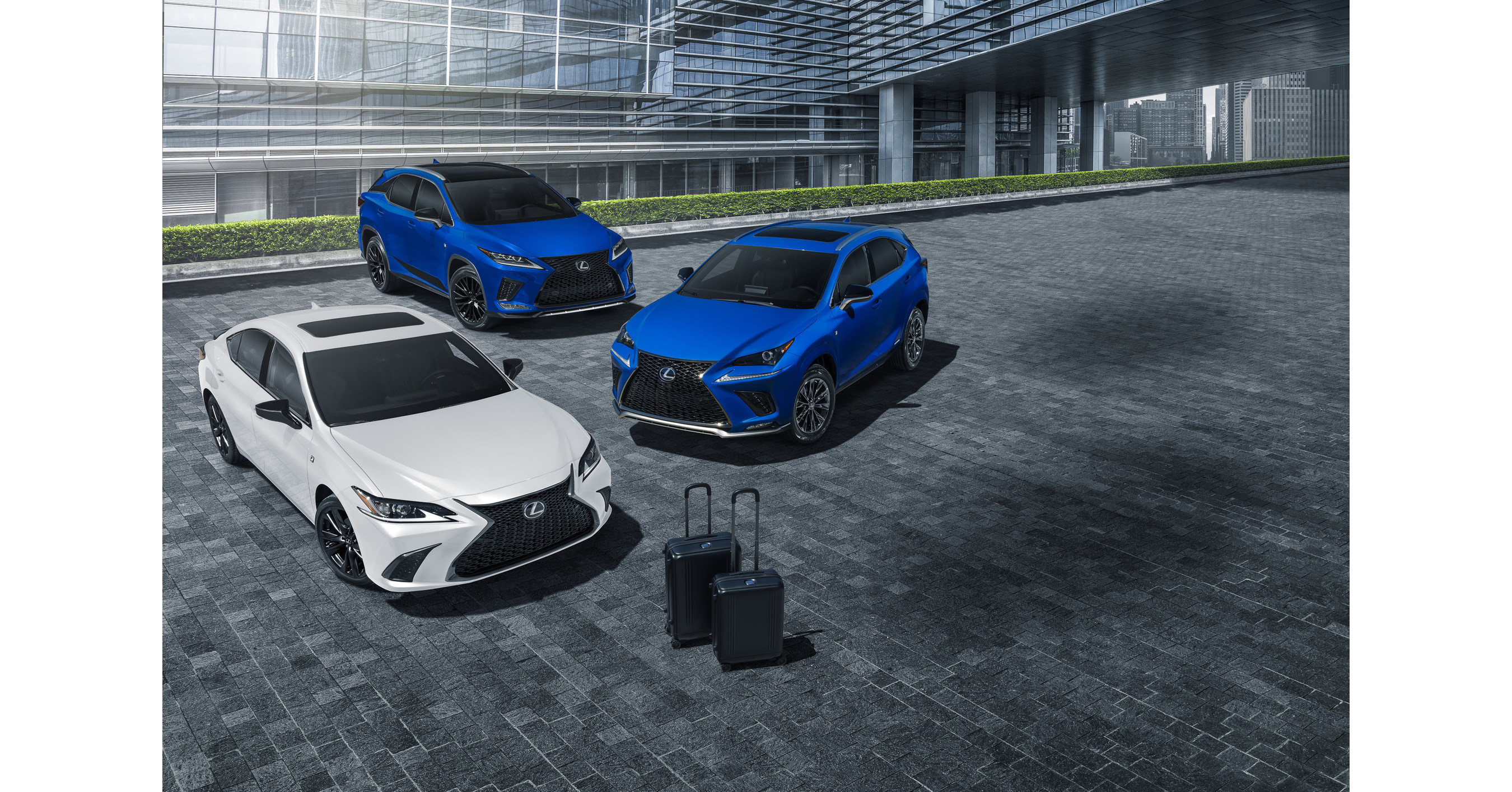 Touches Of Style Accentuate The RX Black Line Special Edition