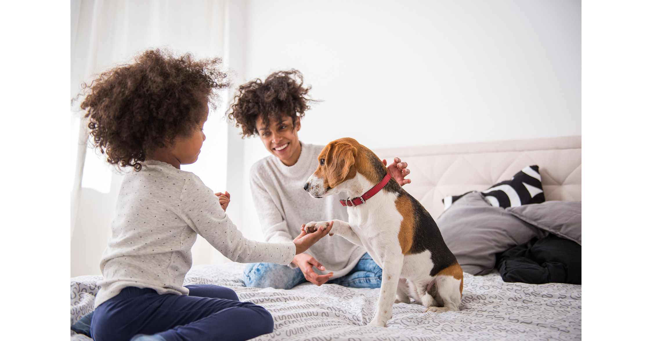 4 Ways Pets Help Impact Health and Wellness