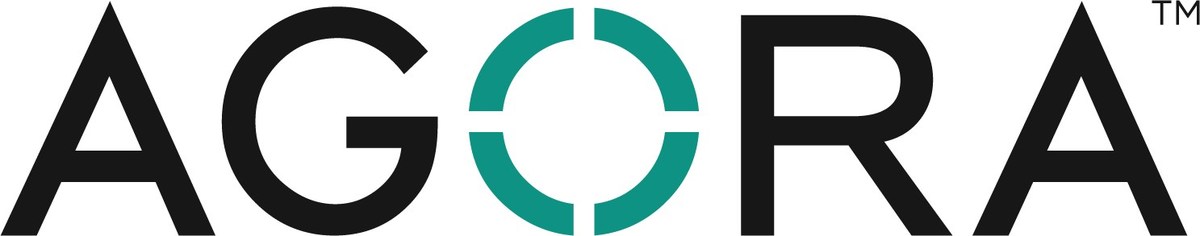 Agora to Bring Low-Interest, Capital Marketing Funding to the BHPH Auto ...