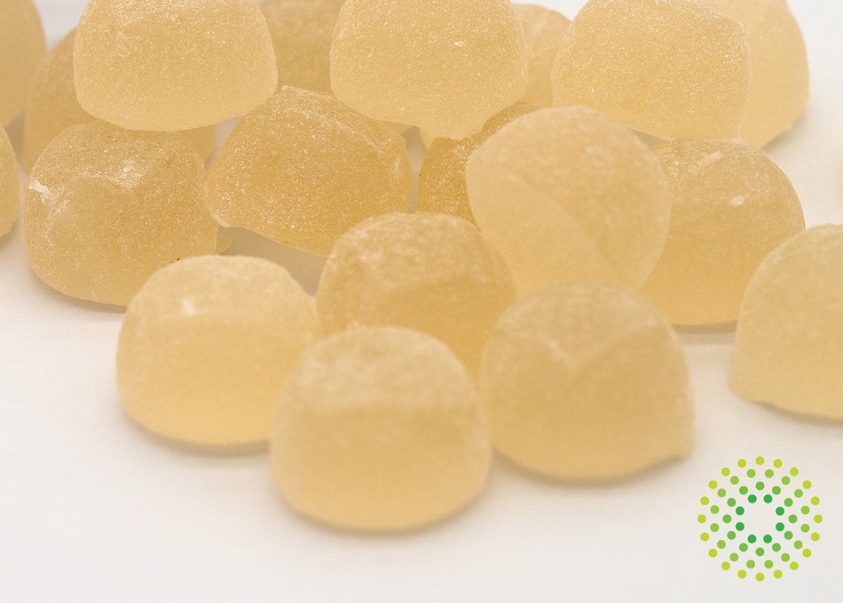 Historic Day as Trulieve Introduces Edibles in Florida and Serves its ...