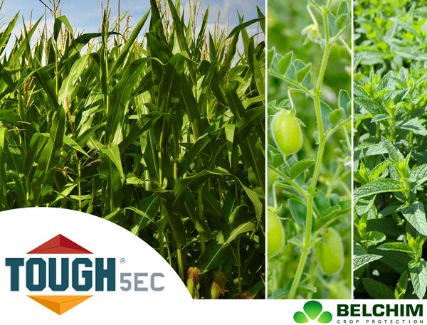 Belchim USA's TOUGH® 5EC Herbicide (Pyridate) Just Approved By EPA ...