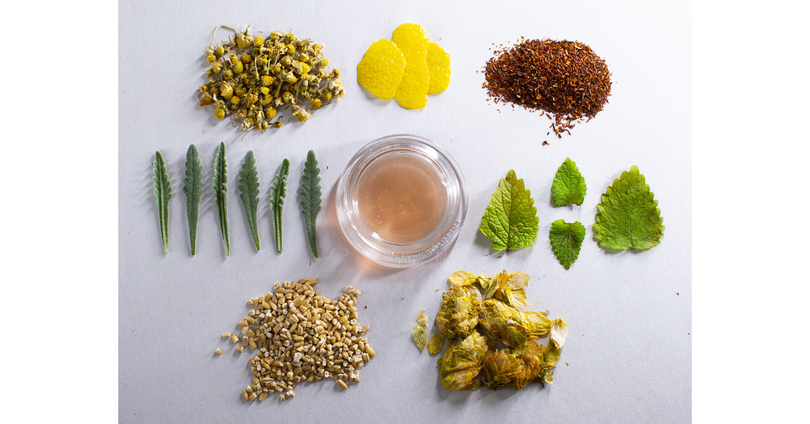 Through Proprietary Extraction Methods, Open Book Extracts Has Isolated ...