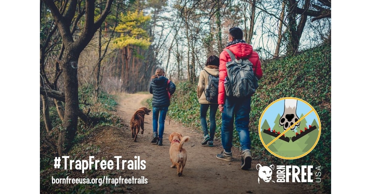 Born Free USA Calls for an End to Trapping on National Wildlife Refuges