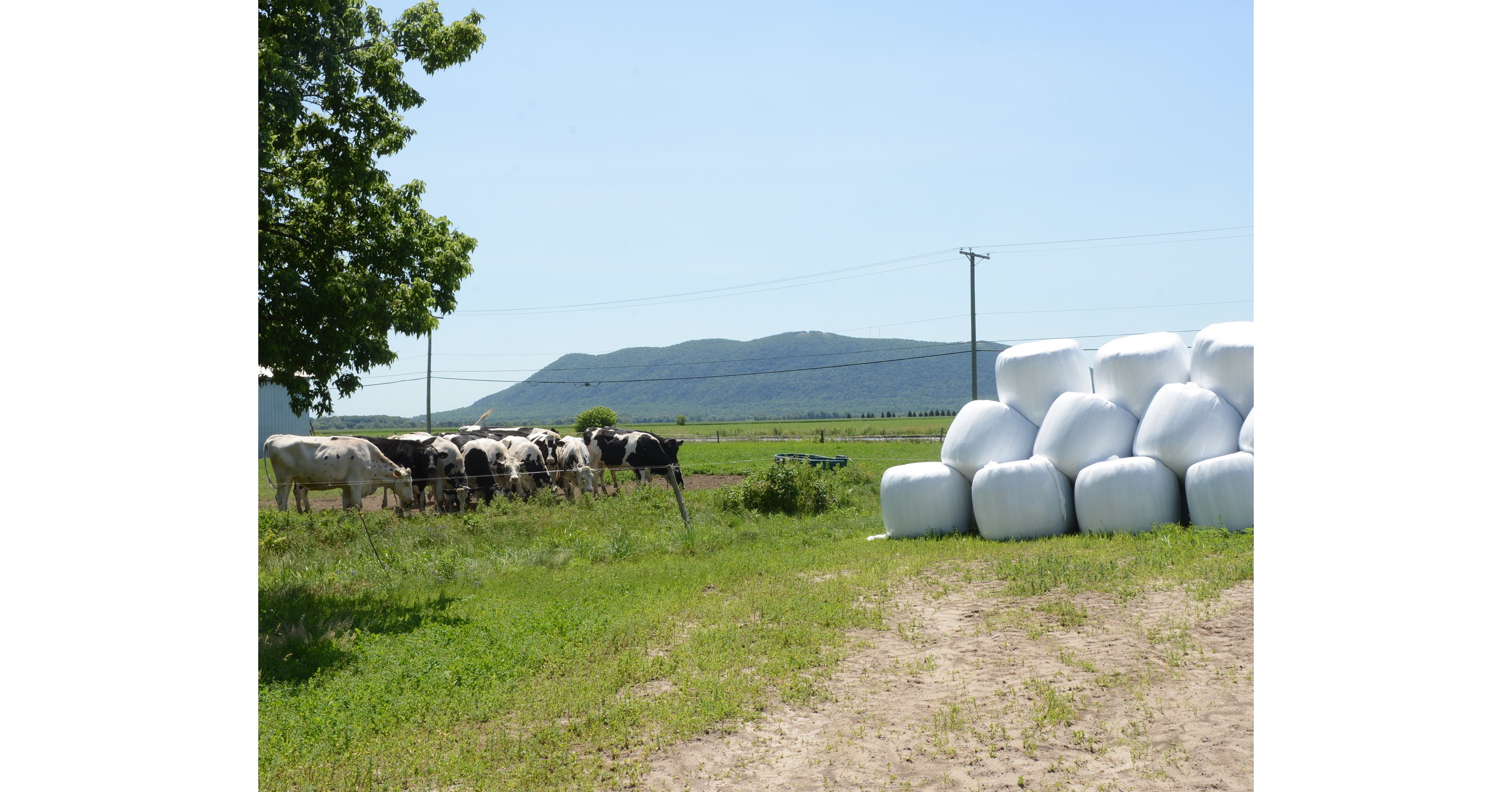 Three-year Cleanfarms Project Focusing on Improving Ag Plastic Recycling