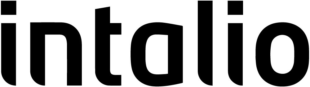 Everteam Global Services Merges with Intalio