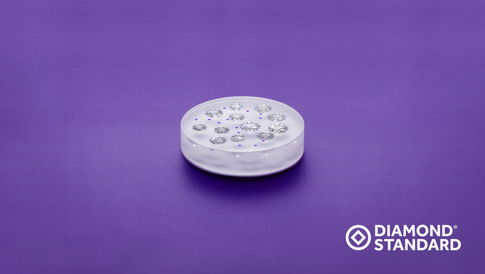 Diamond Standard® to Launch World's First Regulator Approved Diamond Commodity in Initial Public ...