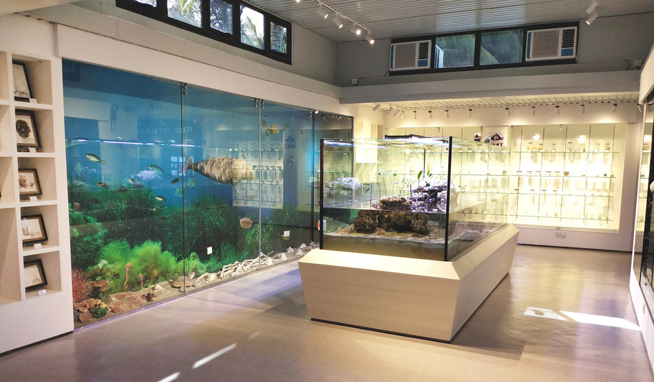 Country Garden Forest City Released the Ecological Development Action ...