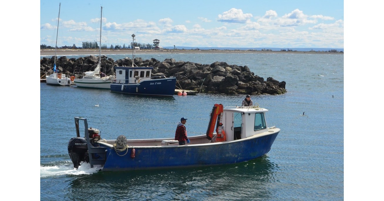 Listuguj Mi'gmaq Government says systemic racism from Department of ...