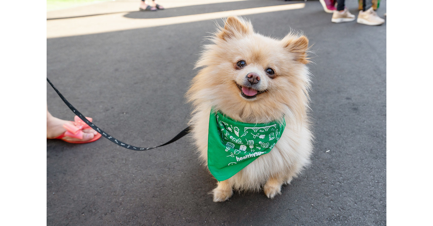 Healthy Spot Announces New Store Opening in Northern California