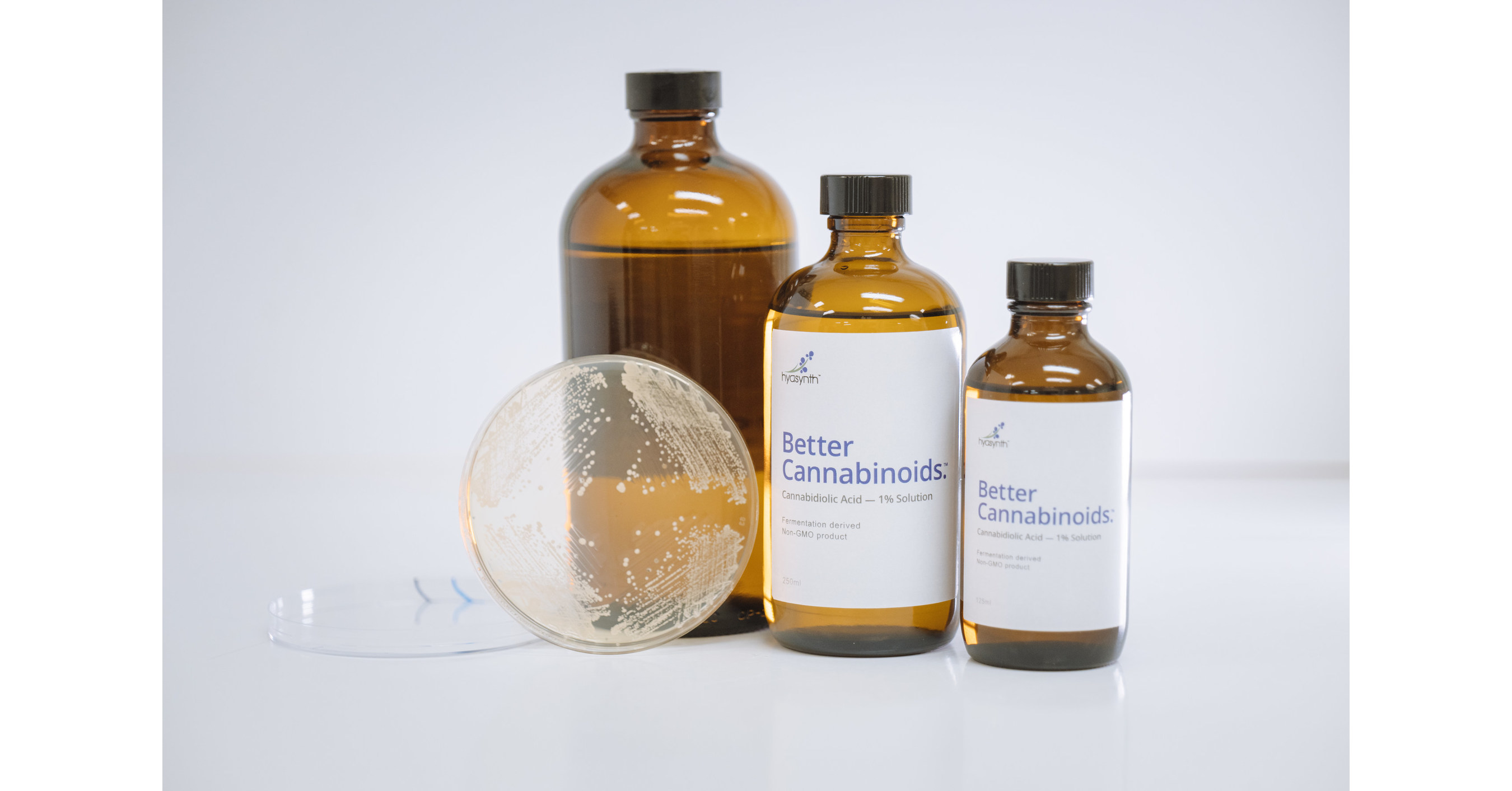 Hyasynth first to market with CBD in global race to commercialize ...