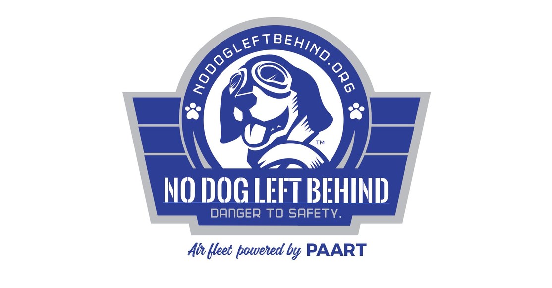 Hurricane Laura Rescue! No Dog Left Behind Flies to the Gulf Coast to ...