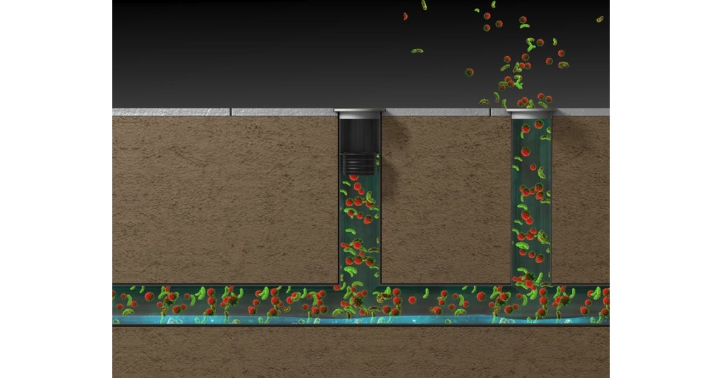 How the Green Drain™ Helps Control and Contain Biofilm