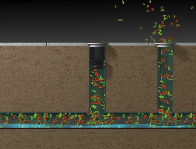 How the Green Drain™ Helps Control and Contain Biofilm