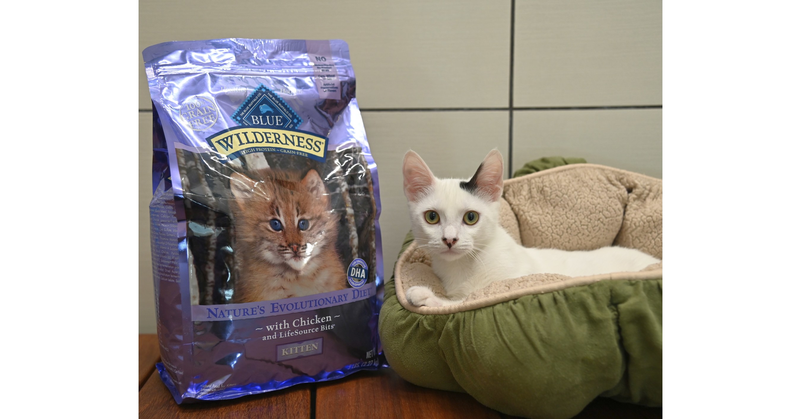Blue Buffalo Home 4 the Holidays Supplies Major Gift for Orphan Pets
