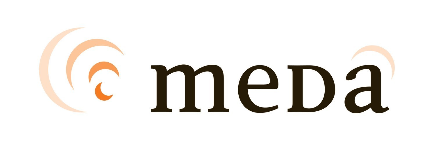 Meda Announces Third Annual "Million Dollar Challenge for Minority ...
