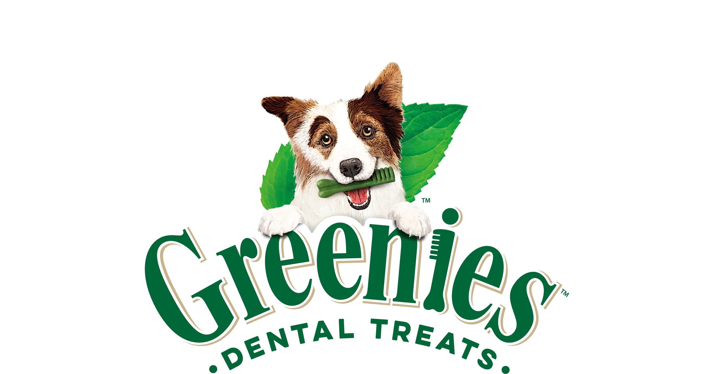 Put Your Pups's Brainpower To The Test With Doggy IQ From The GREENIES ...