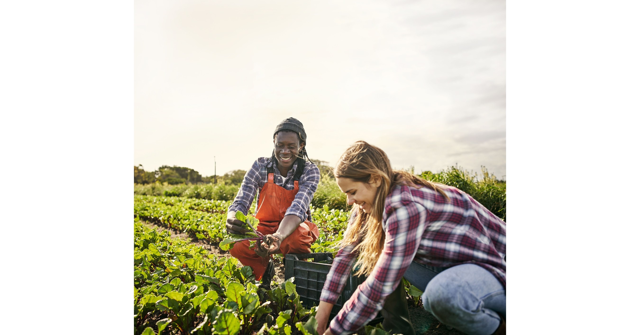 Pure Farmland™ Awards $100,000 To Local Gardens and Farms