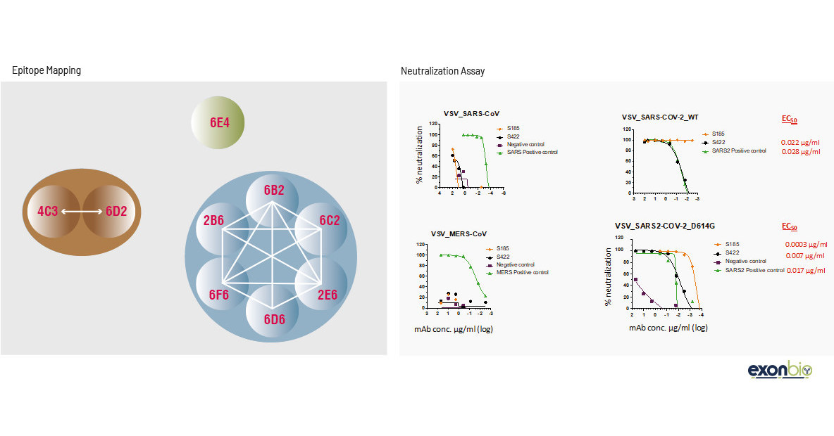 Exonbio announces the launch of SARS-CoV-2 Neutralizing Anti-spike ...