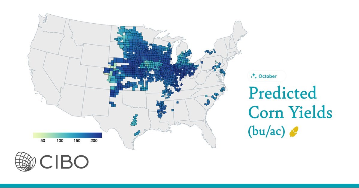 CIBO Releases October County-Level Yield Forecasts for U.S. Crops Ahead ...