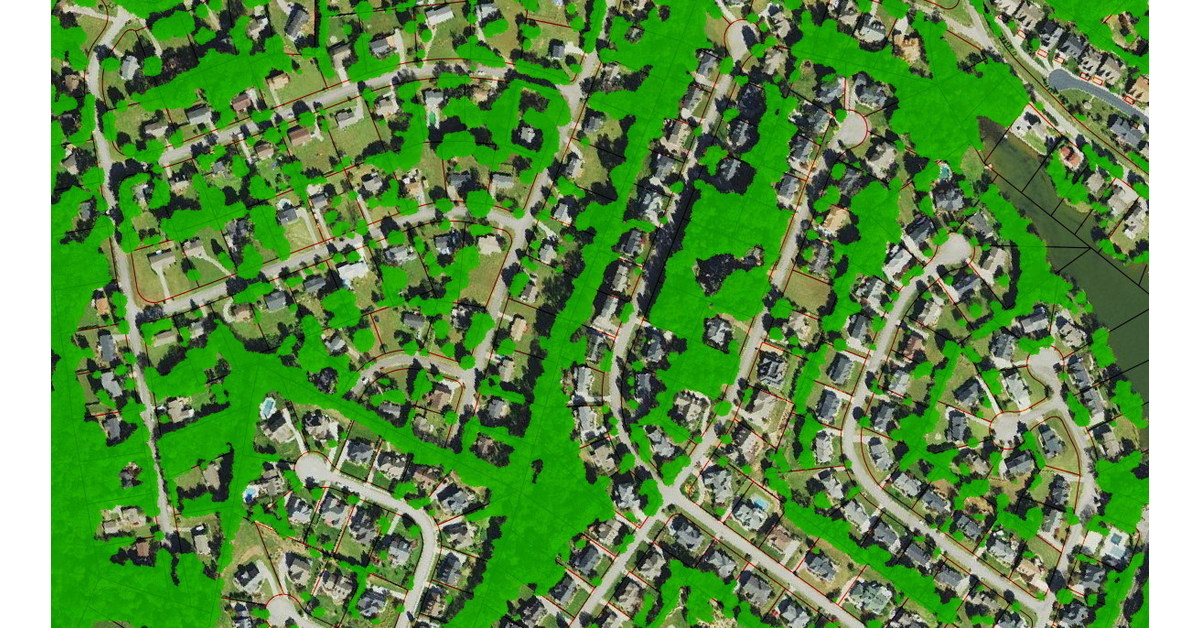 US Tree Map: EarthDefine Creates the Most Detailed Map of America's Trees