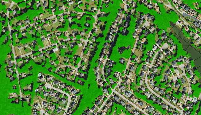 US Tree Map: EarthDefine Creates the Most Detailed Map of America's ...